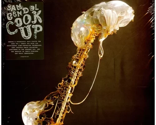 Sam Gendel - Cookup - ginalovesjazz.com - the jazz magazine by matthias ...